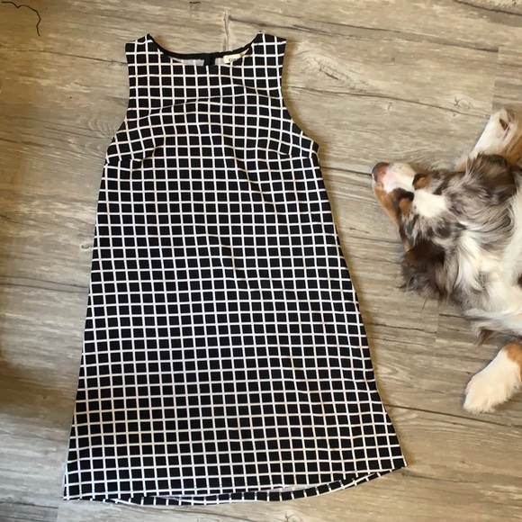 Ginger G | Dresses | Ginger G Black White Dress Sz S | Poshmark